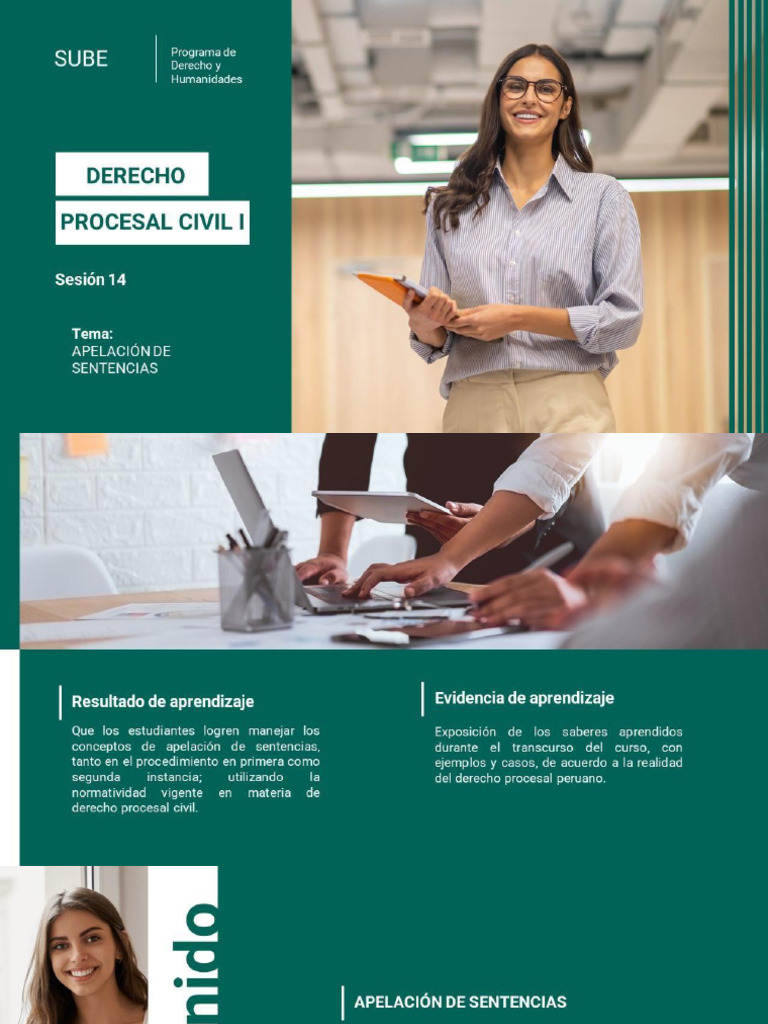 Sesion 14 - Apelacion de Sentencias-Imprimible | PDF