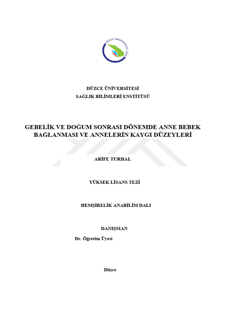 Bağlanma Tez - 3 | PDF