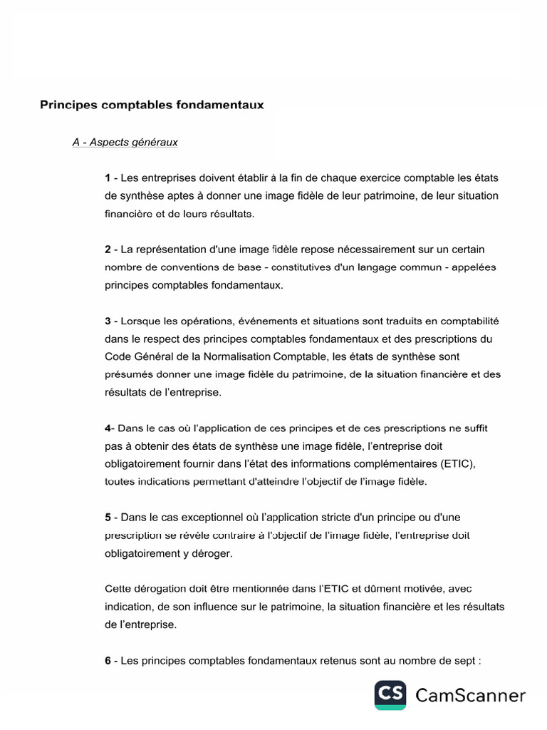 Principes Comptables CGNC | PDF