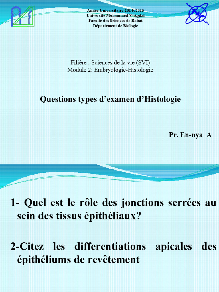 Questions d'examen en histologie | PDF | Épithélium | Muscle