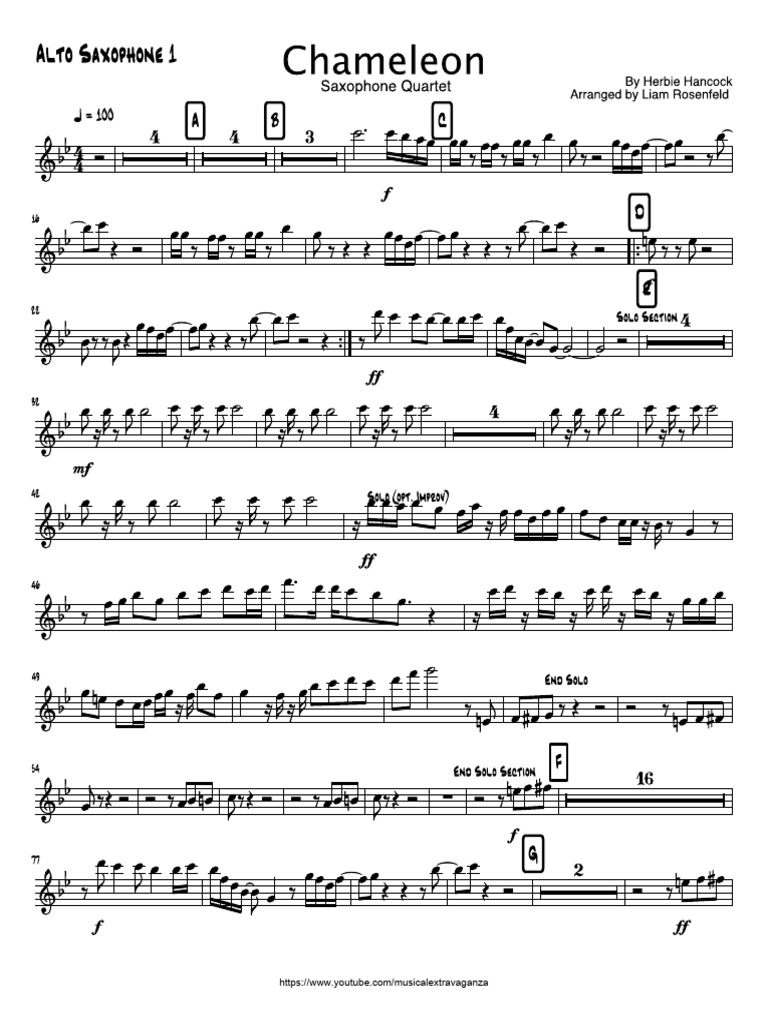 Chameleon Anatomy Explained | PDF