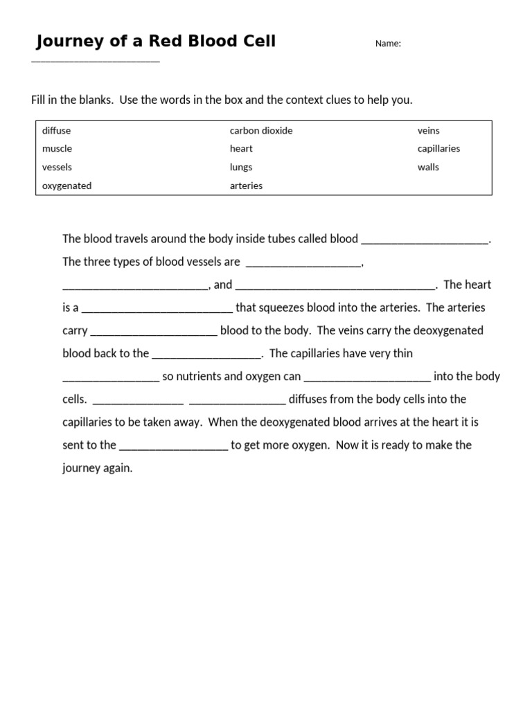 _Journey of a Red Blood Cell | PDF