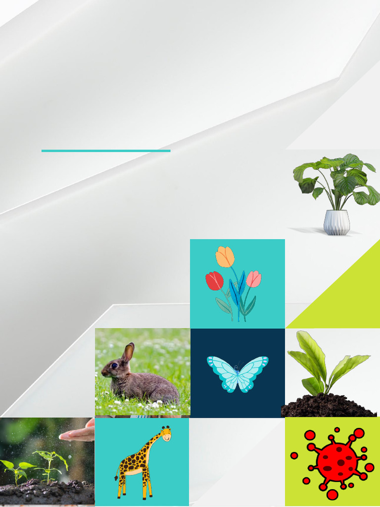 Modul Ajar Ilmu Pengetahuan Alam (IPA) - KLASIFIKASI MAKHLUK HIDUP - Fase D | PDF