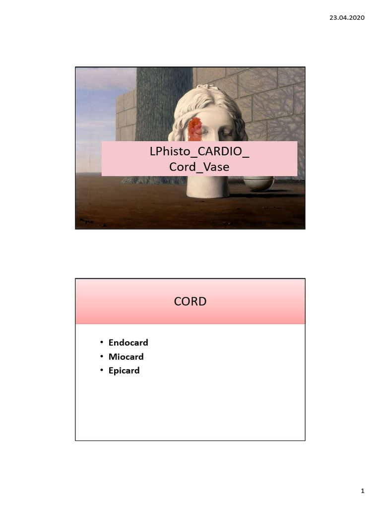 1) LPhisto - CIRCULATOR | PDF | Angiología | Sistema circulatorio