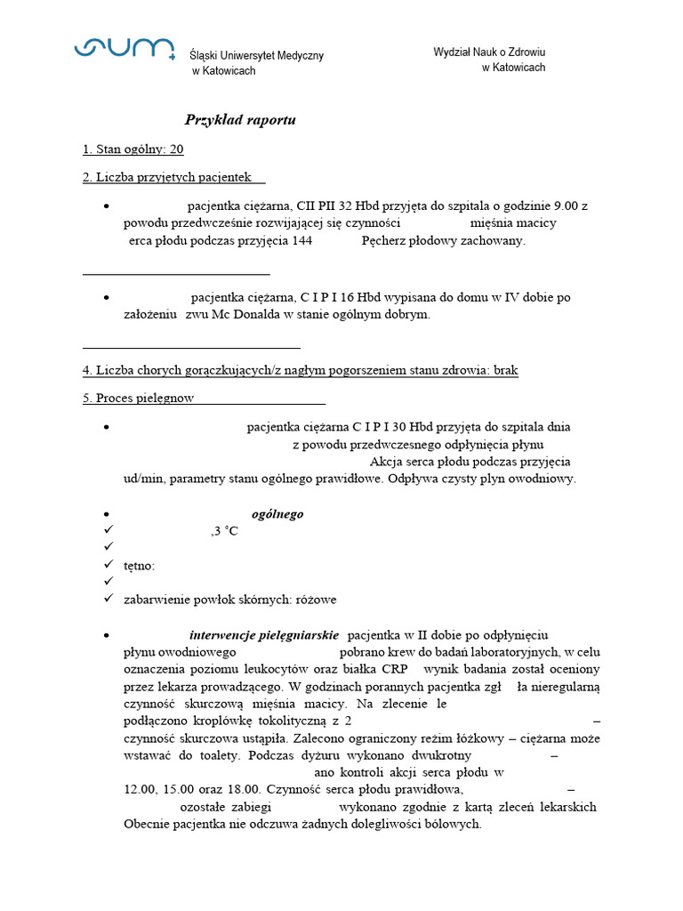 Przyklad Raportu Dziennego | PDF