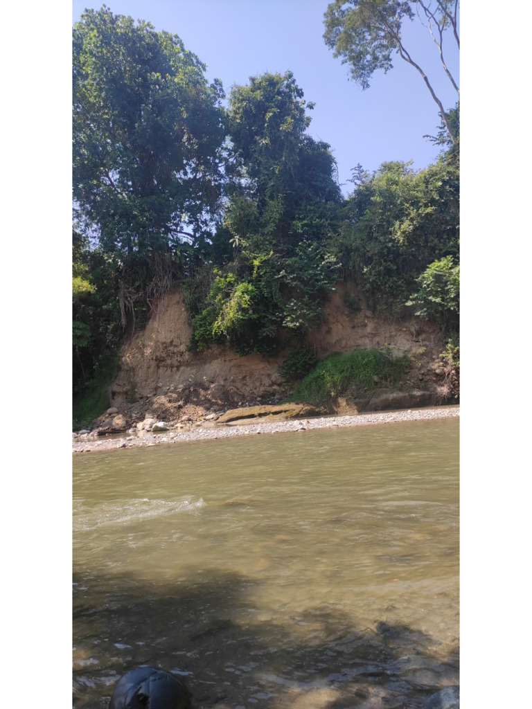 Documento20250112_162655 | PDF