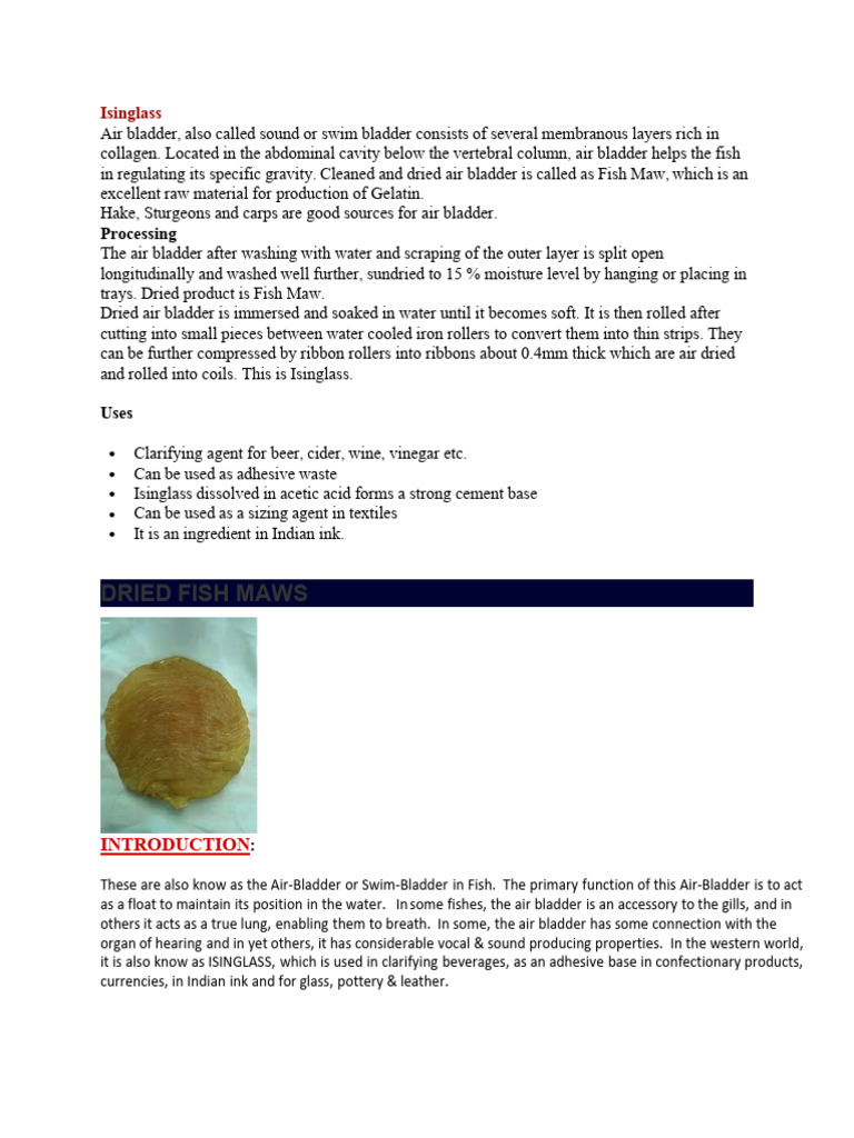 Anatomy and Uses of Fish Maw | PDF