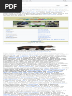 Ursidae | PDF | Osos | Depredadores