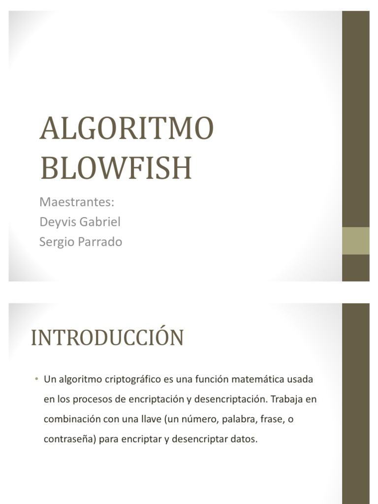 Algoritmo Blowfish | PDF | Clave (criptografía) | Criptografía