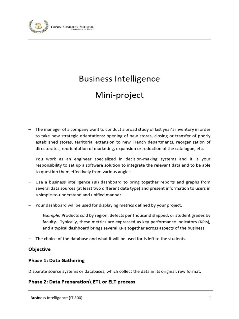 Business Intelligence Mini Project Proposal 1 | PDF | Data Warehouse ...