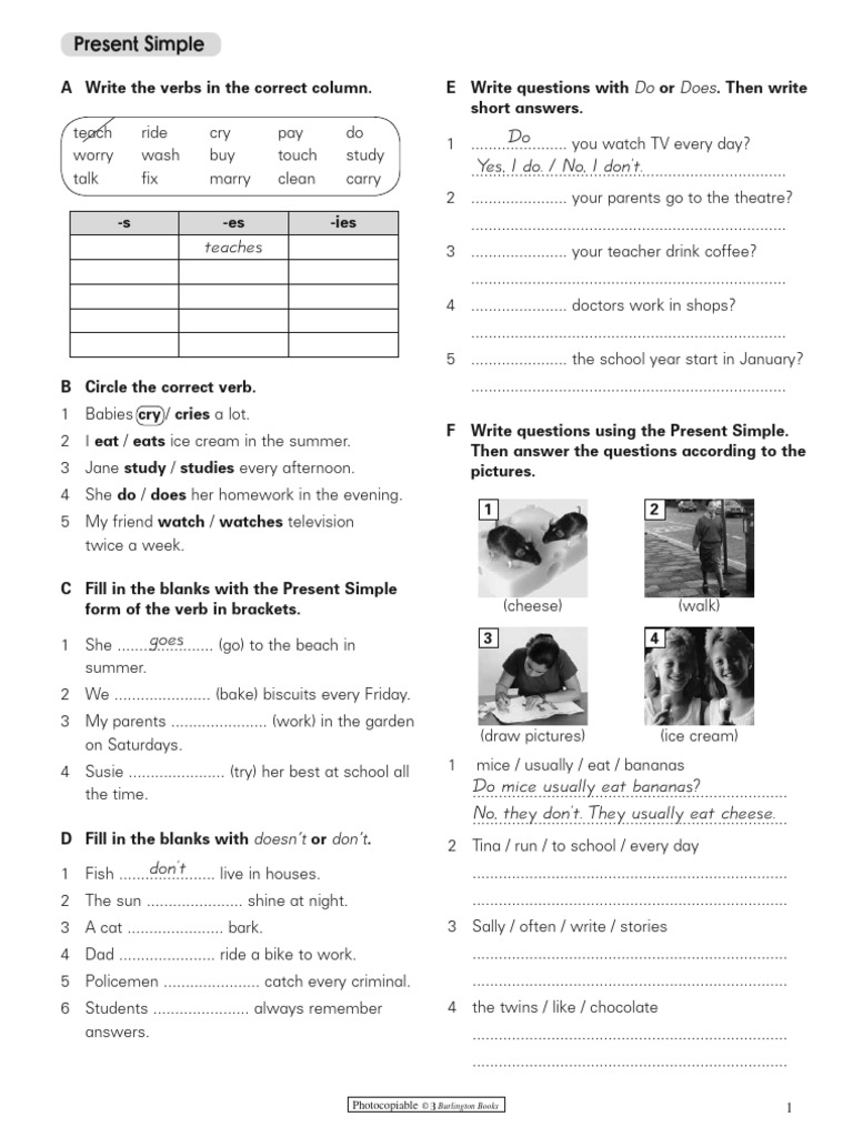 Present Simple Verb Practice Worksheet | PDF