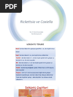 Tatarcik | PDF