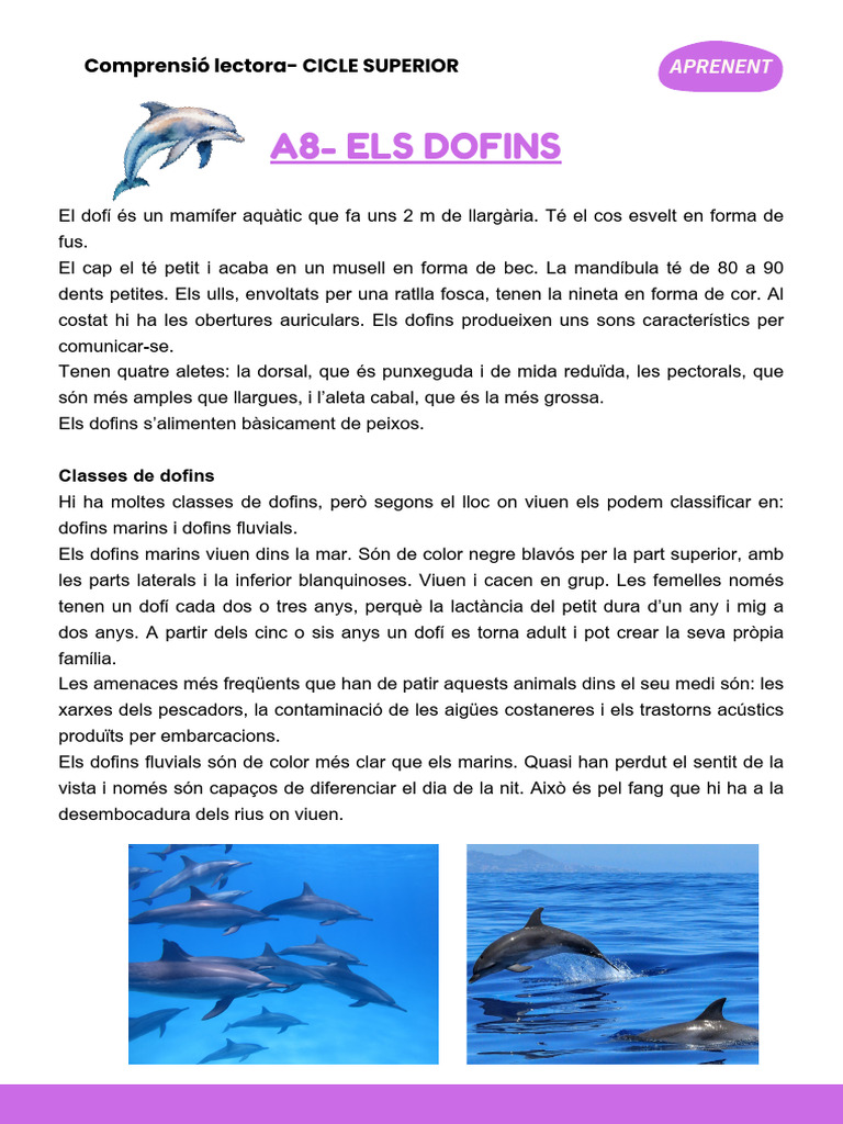 A8-Els Dofins | PDF