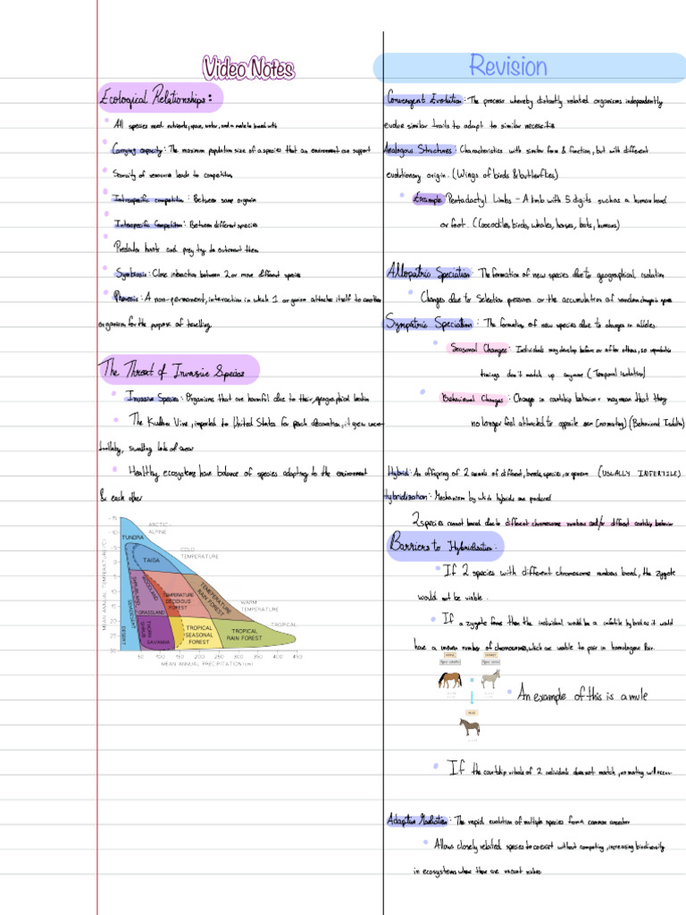 Evolution 1 | PDF | Evolution | Species