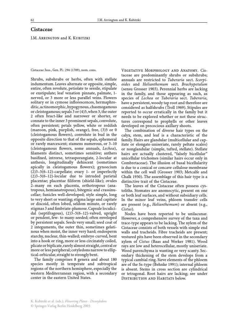 The Families and Genera of Vascular Plants | PDF | Leaf | Flowers