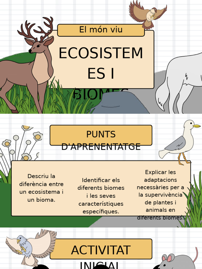 Ecosystems and Biomes Lesson Presentation in an Illustrative Style | PDF
