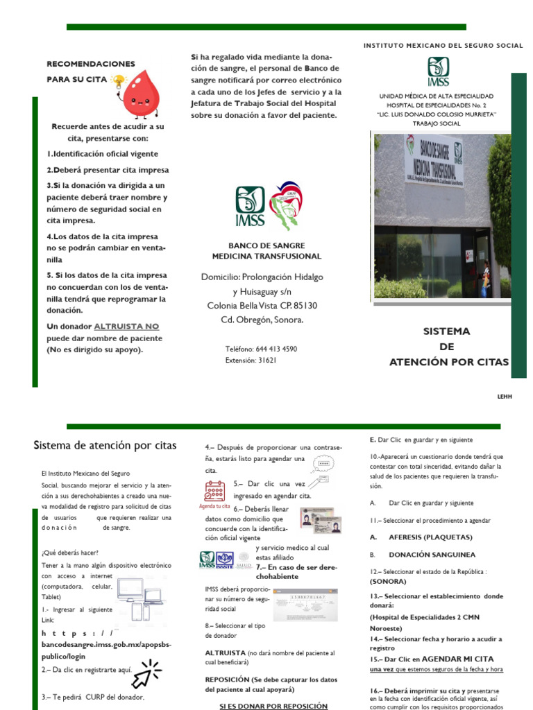 Triptico Medicina Transfuncional Sistema de Atencion | PDF