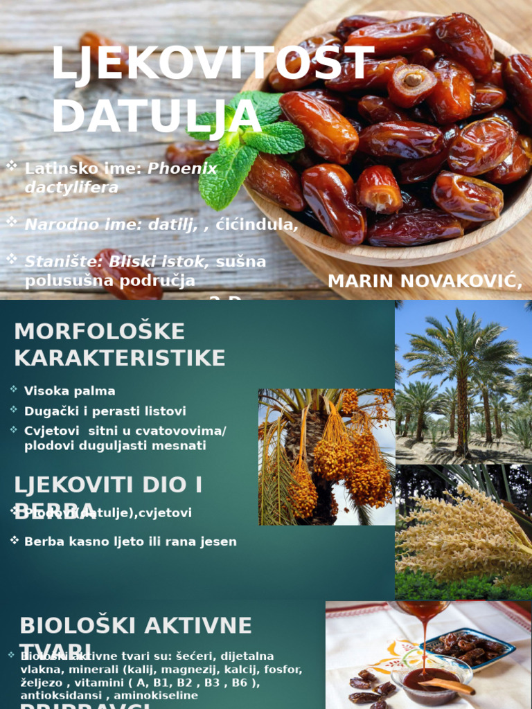 Ljekovitost Datulja 2 | PDF