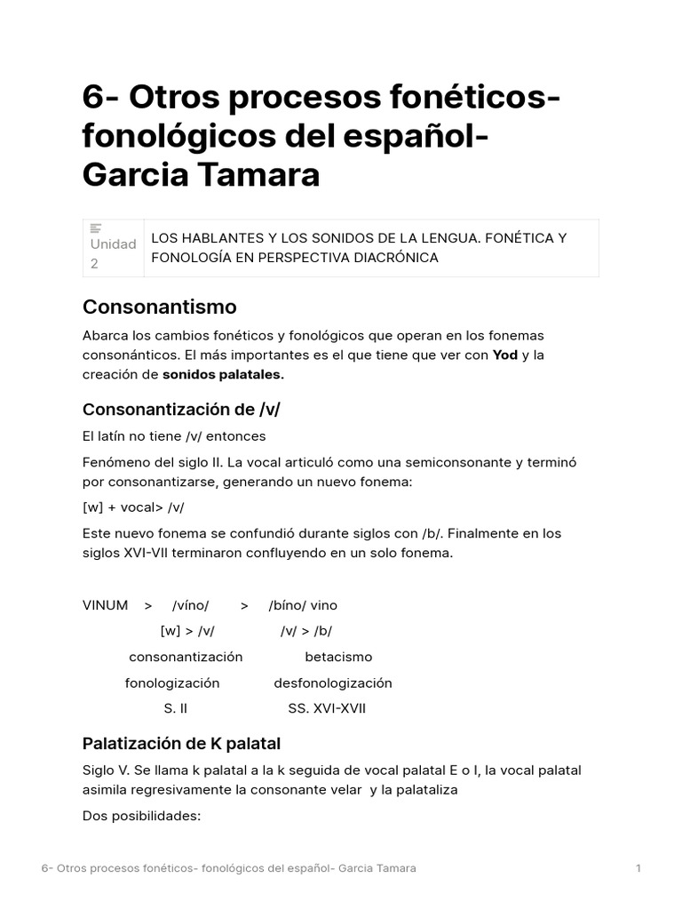6 - Otros Procesos Fonéticos - Fonológicos Del Español - Garcia Tamara ...