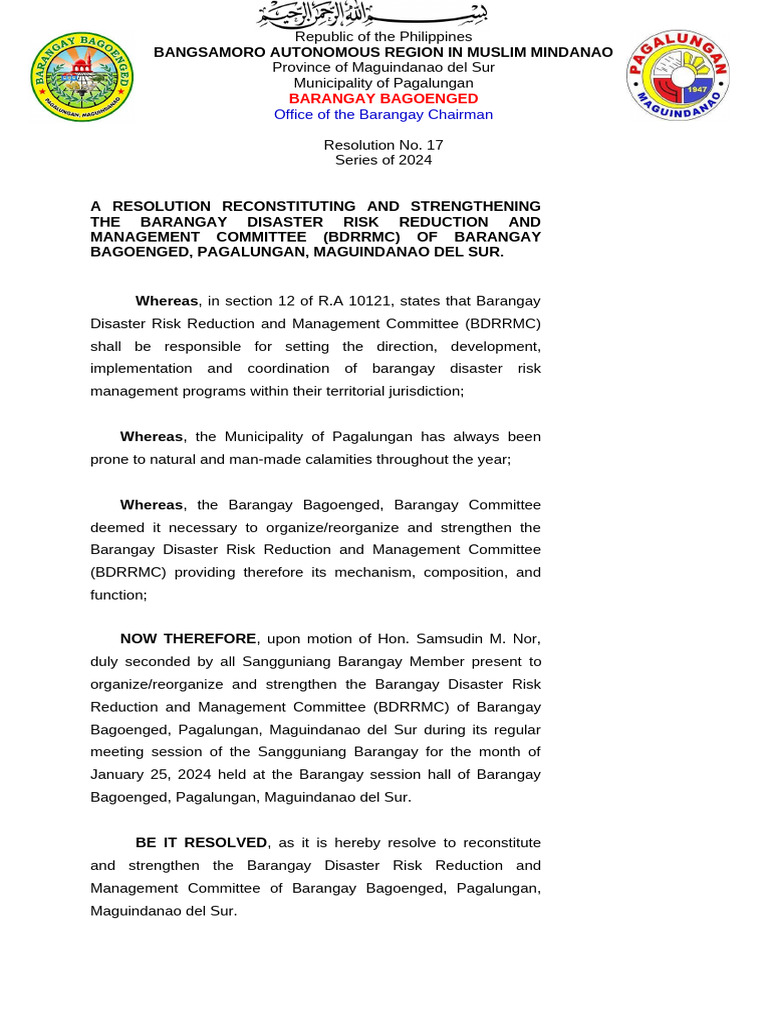 Strengthening Bagoenged BDRRMC | PDF | Government