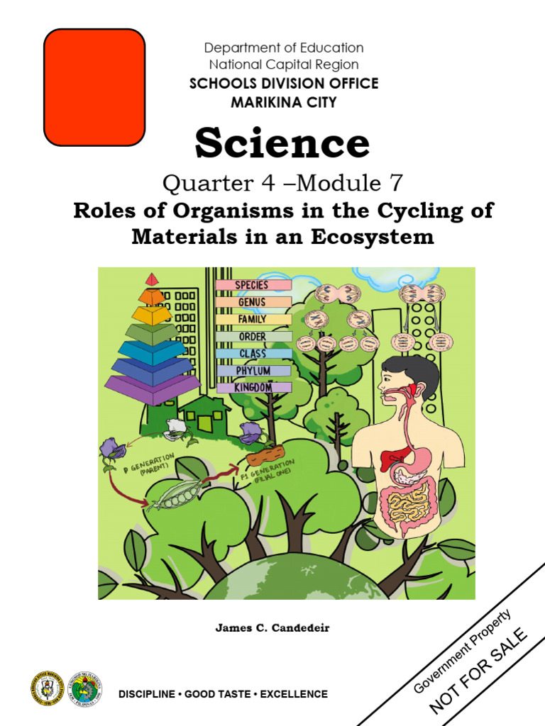 Ecosystem Material Cycling Roles | PDF | Ecosystem | Nature