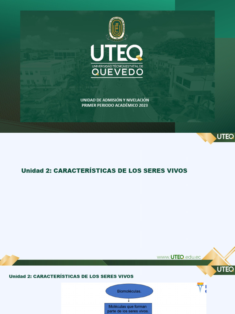 Moléculas Biológicas y Funciones | PDF | Aminoácidos | Carbohidratos