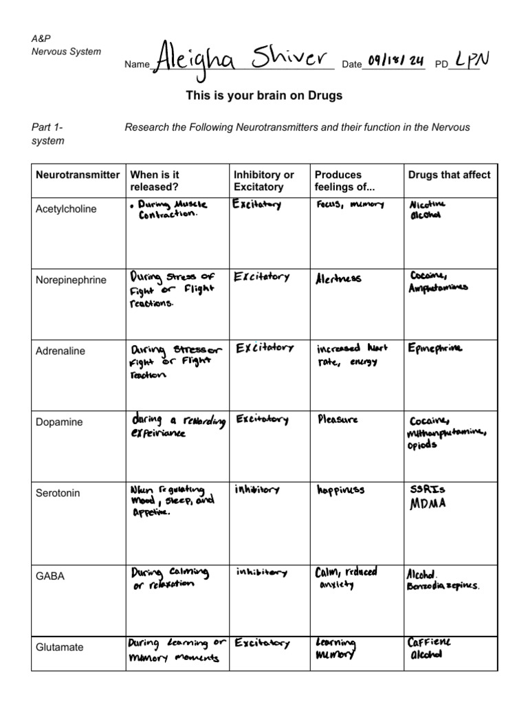 Brain on Drugs -1-1 | PDF | Neurotransmitter | Drugs Acting On The ...
