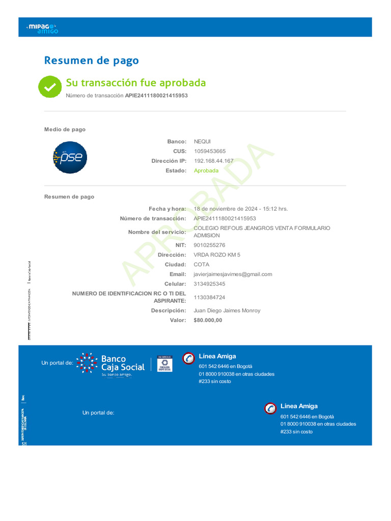 Apie2411180021415953 20241118 | PDF