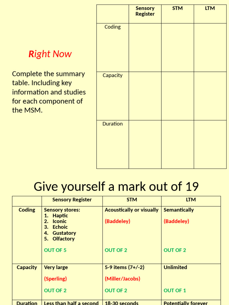 Working Memory Model (WMM) | PDF | Cognition | Brain
