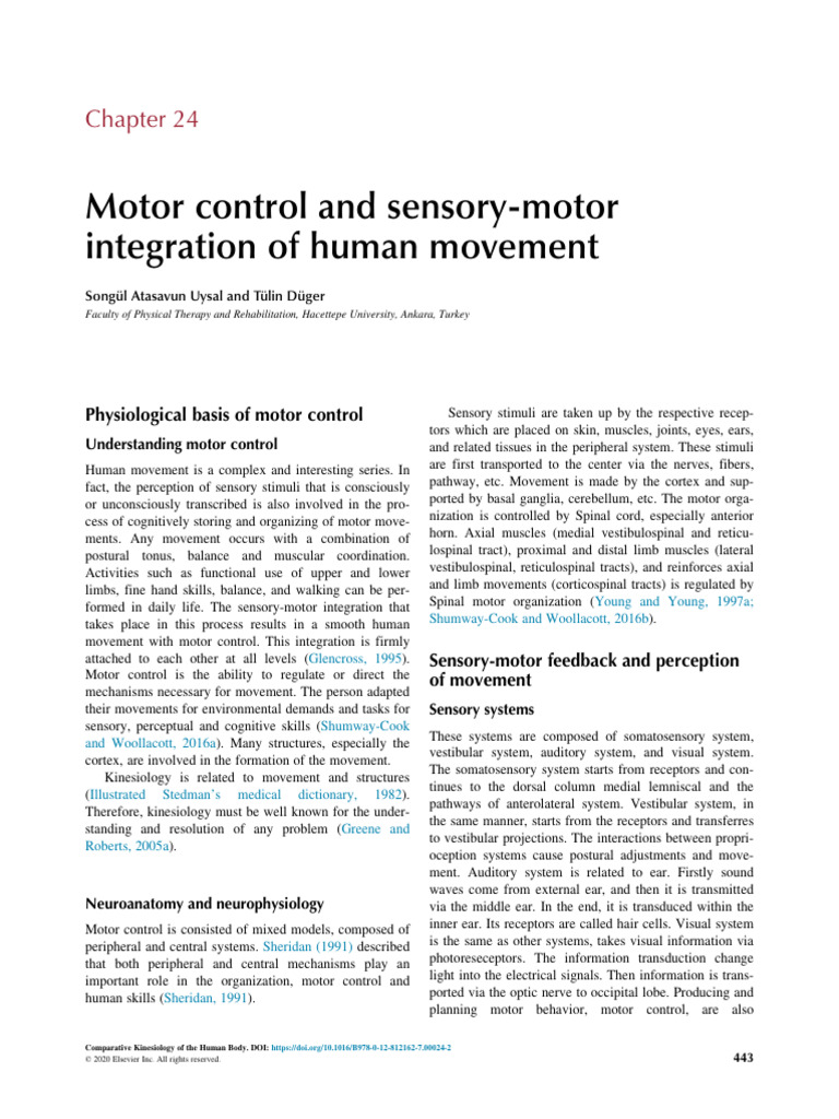 Chapter 24. Motor Control and Sensory-Motor Integration of Human Movement | PDF | Cerebellum ...