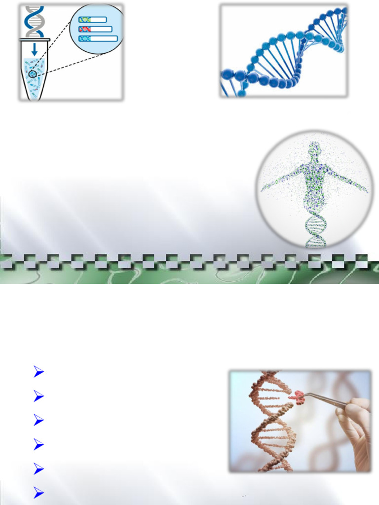 Molecular Methods In Snp Detection Pdf Single Nucleotide