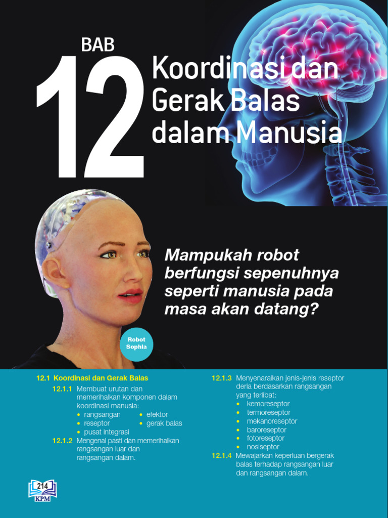 90 3 KSSM 2019 DP Biologi Tingkatan 4 Part 2 3 KSSM 2019 DP Biologi Tingkatan 4 Part 2 | PDF