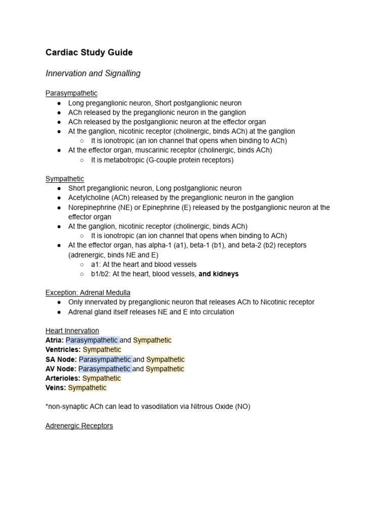 Cardiac Study Guide_01!11!2025 | PDF | Acetylcholine | Cell Signaling