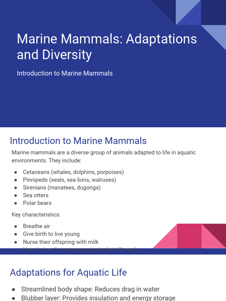 Marine Mammals_ Adaptations and Diversity | PDF | Marine Mammals | Pinniped