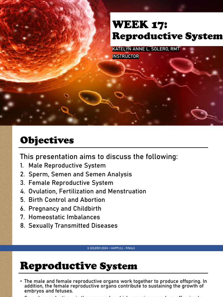 Week 17 Reproductive System | PDF | Menstrual Cycle | Ovary