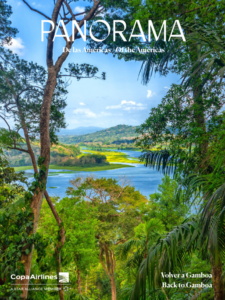 2020_10 Panorama | PDF