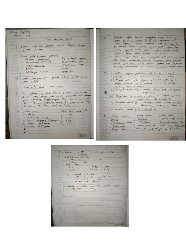 LKPD Respirasi Aerob | PDF