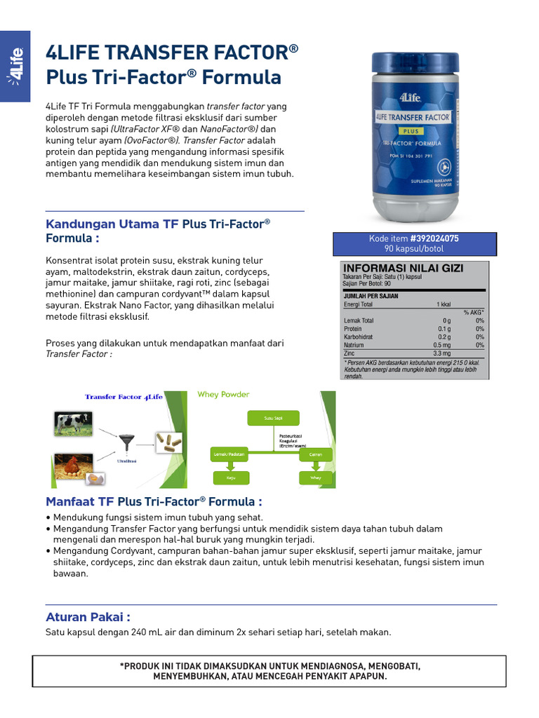 Indonesia Plus Pps | PDF