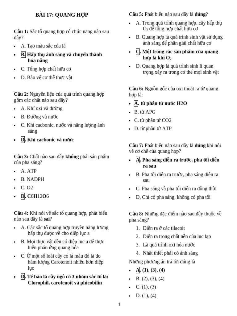 Bài 17 - Quang H P | PDF