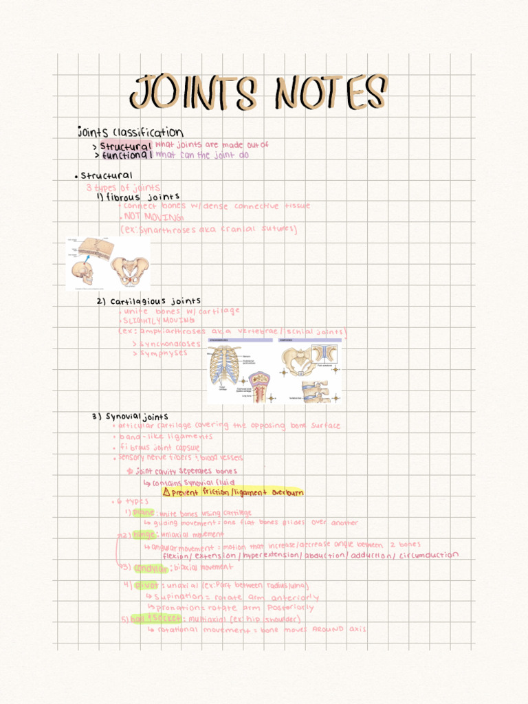 Joints | PDF