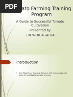 Butternut Production Guide for Zimbabwe | PDF | Fertilizer | Soil