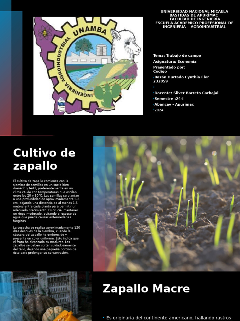 Universidad Nacional Micaela Bastidas de Apurímac | PDF | Alimentos | Cocina