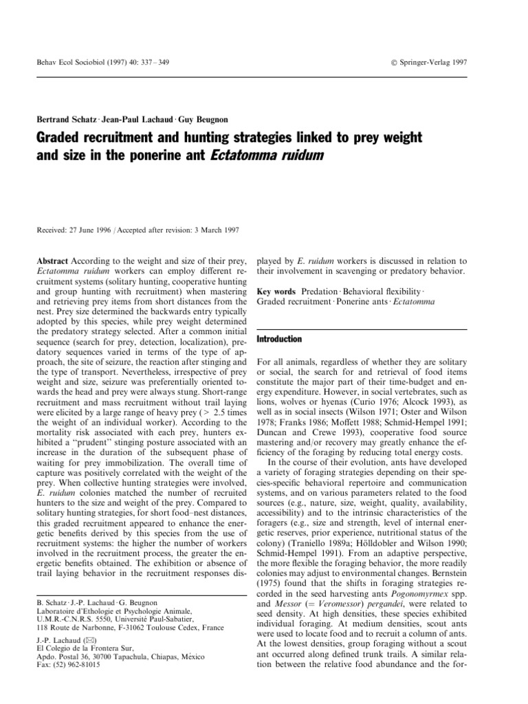 Schatz 1997 | PDF | Predation | Foraging