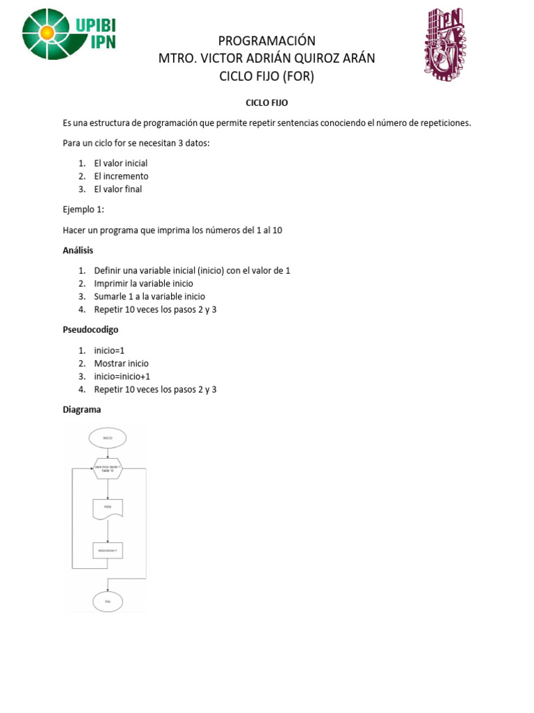 Estructura de Ciclo For en Programación | PDF | Programación de ...