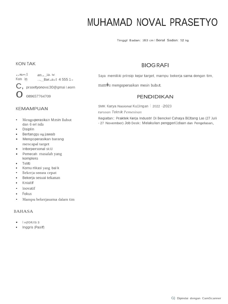 CV_Muhamad Noval Prasetyo-1 | PDF