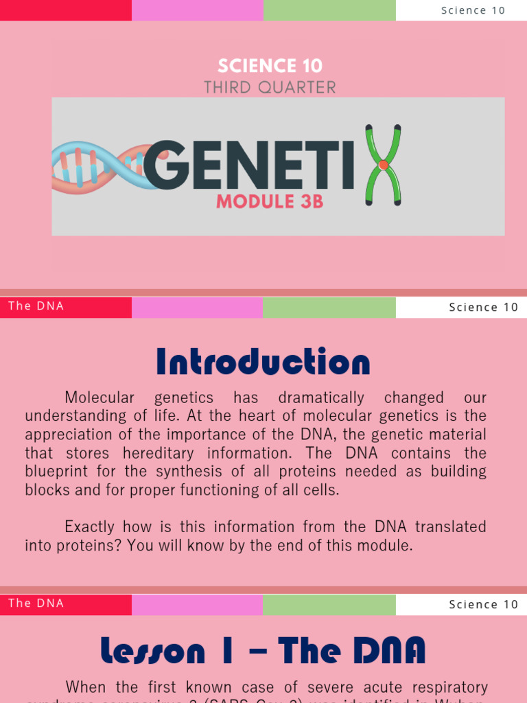 Science 10 Lesson 17 The DNA | PDF | Dna | Rna