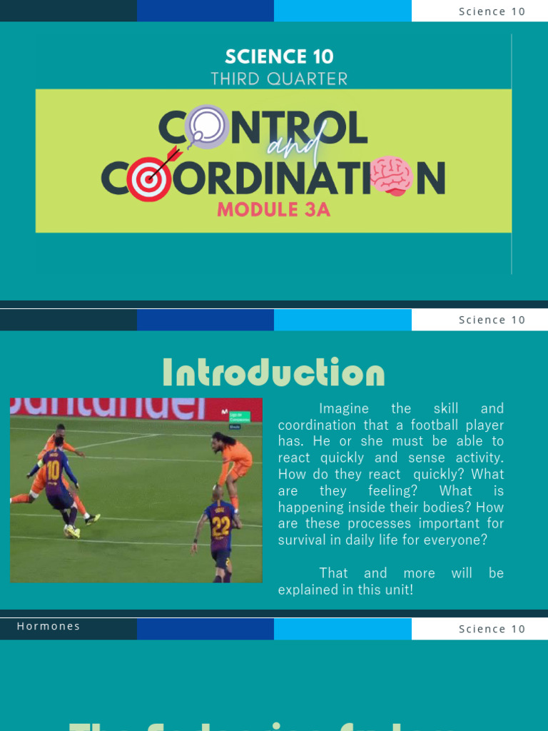 Science 10 Lesson 15 Hormones | PDF | Luteinizing Hormone | Animal Anatomy