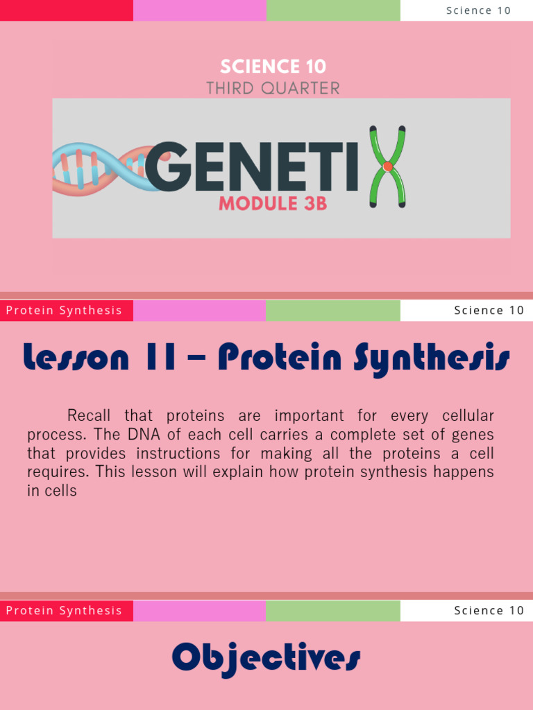 Science 10 Lesson 18 Protein Synthesis | PDF | Translation (Biology ...