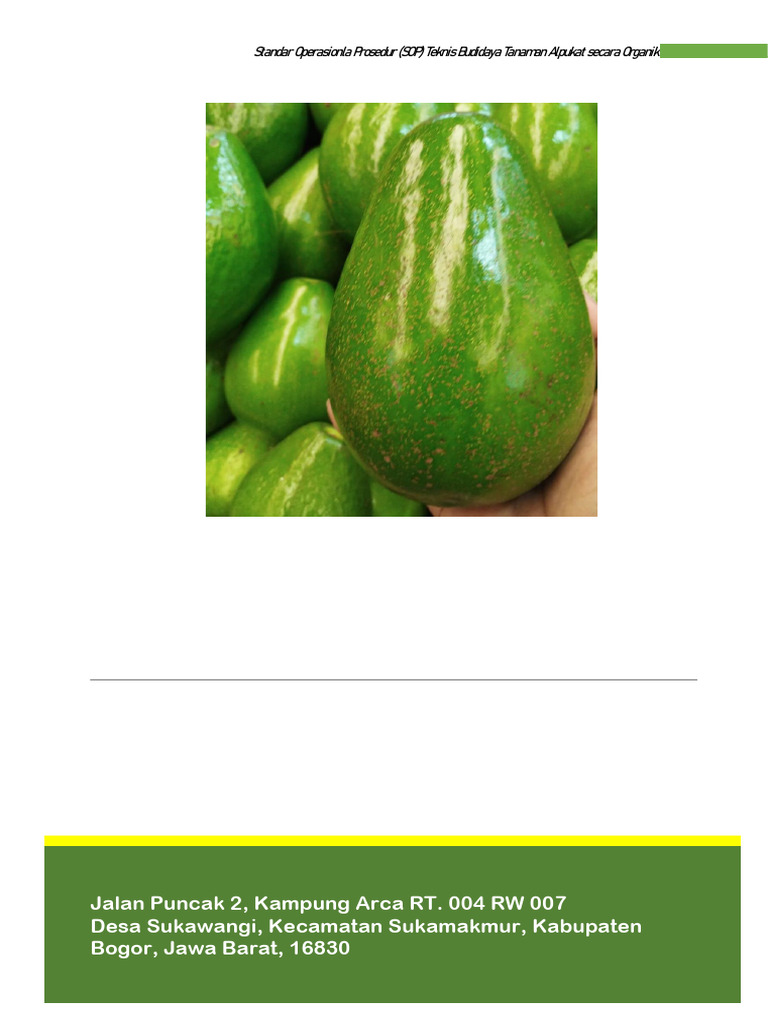 SOP Alpukat - Asep | PDF