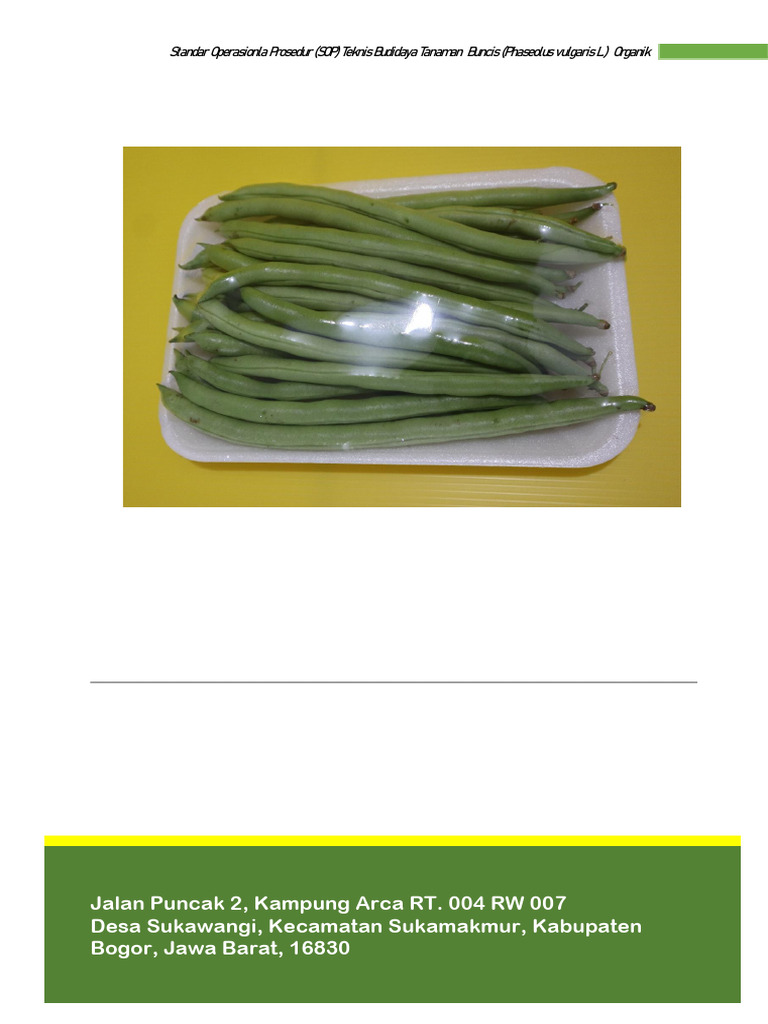 SOP Buncis - Japar | PDF